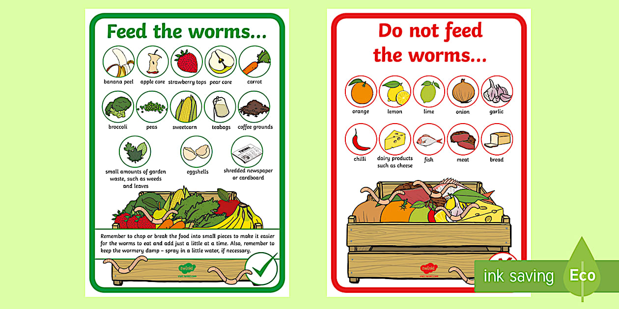 What To Feed Worms Display Posters - Twinkl NZ - Twinkl