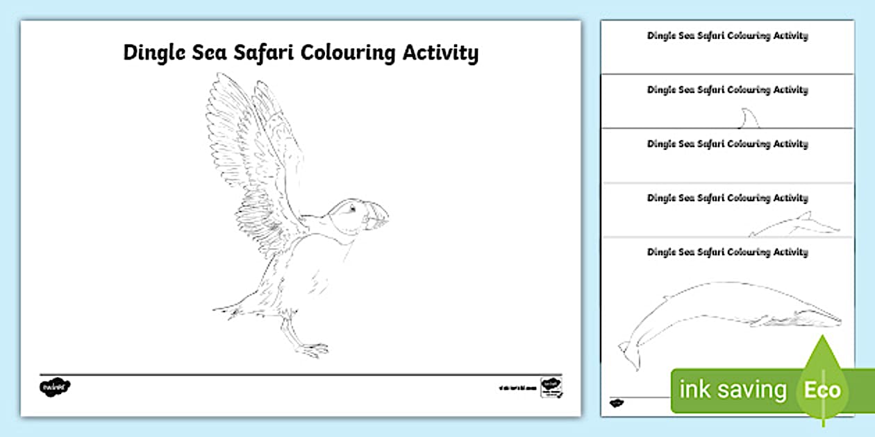 Dingle Sea Safari Colouring Activity - Primary Resources