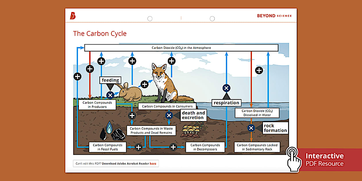 Carbon Cycle Picture Hotspot | Science | Beyond Secondary