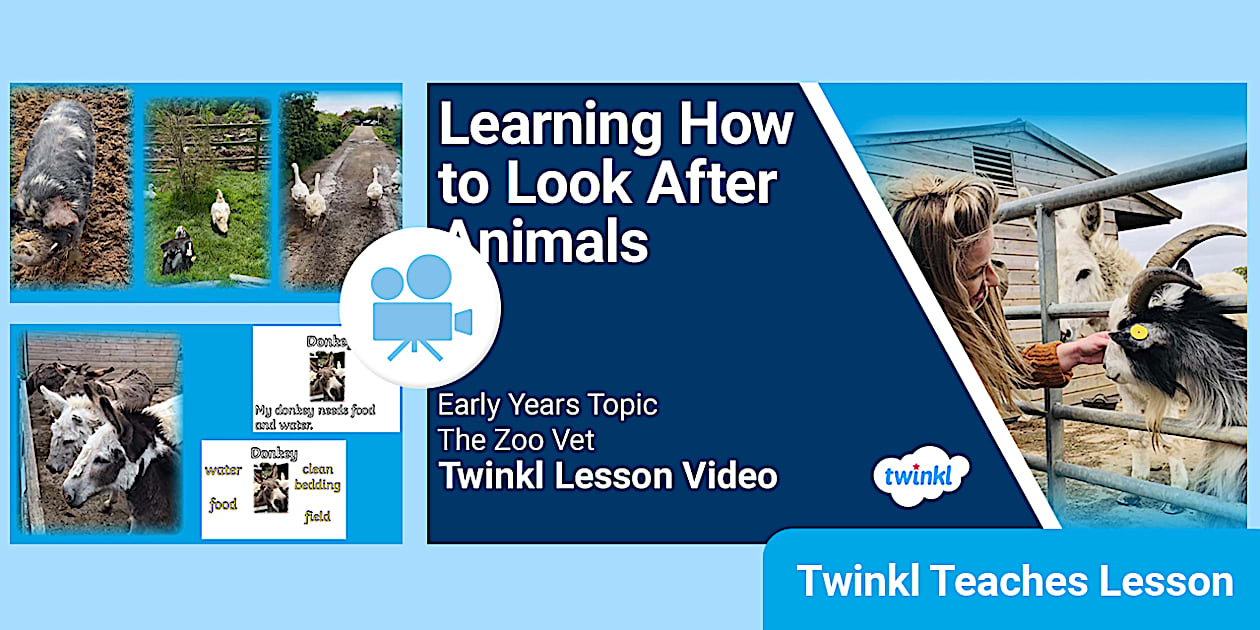 How to Look After Animals Video Lesson | EYFS Life Skills