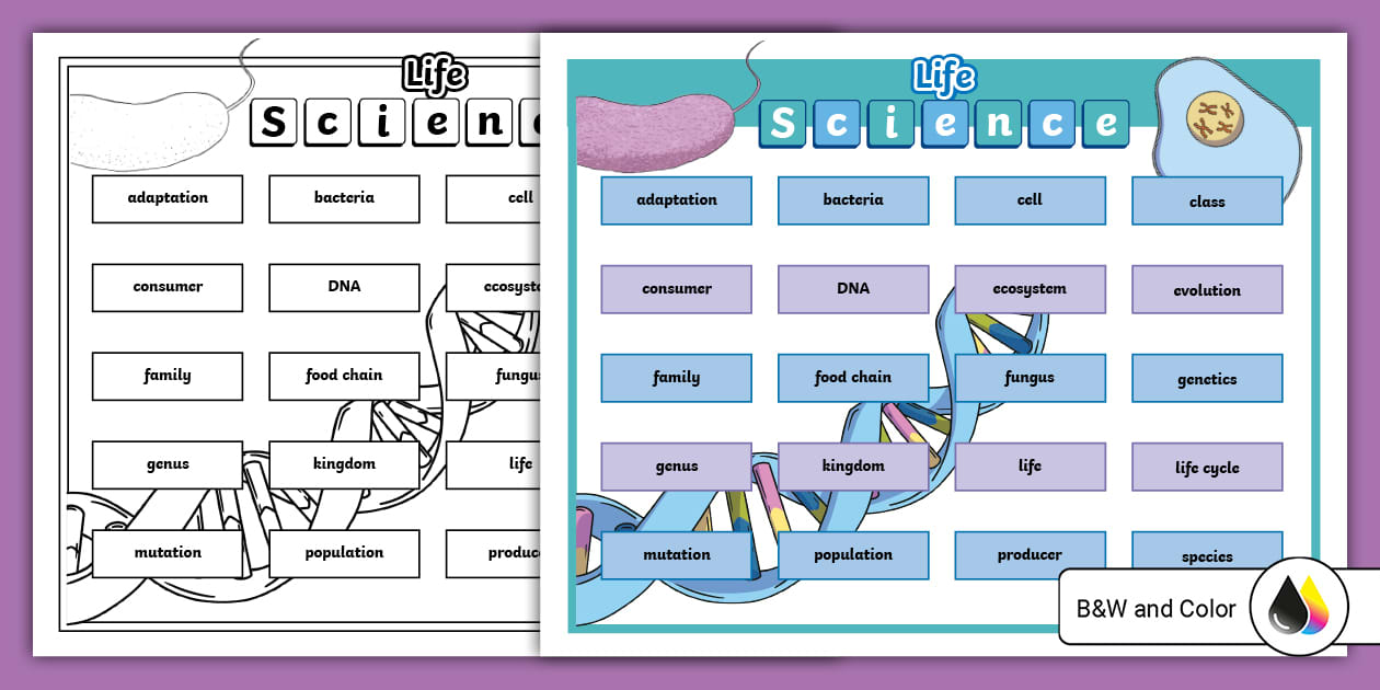 Tier 3 Life Science Vocabulary Mat for 3rd-5th Grade