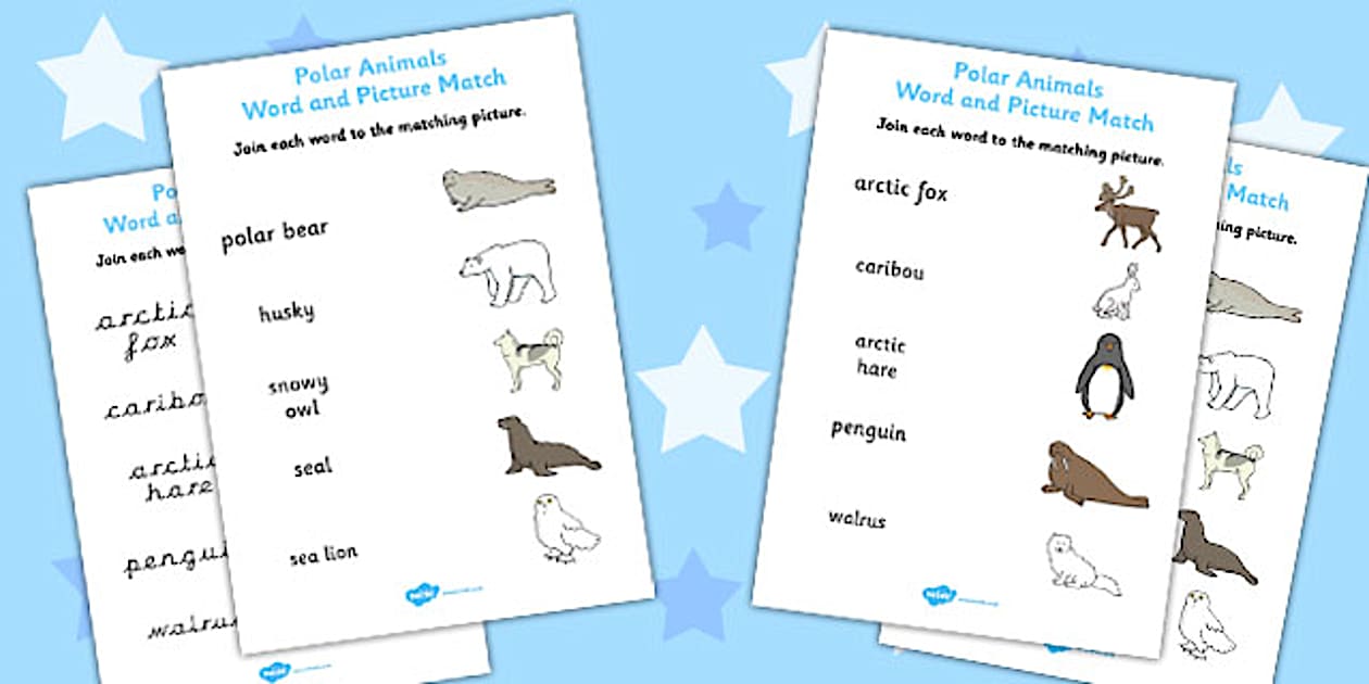 Precursive Polar Animals Word and Picture Matching Worksheet