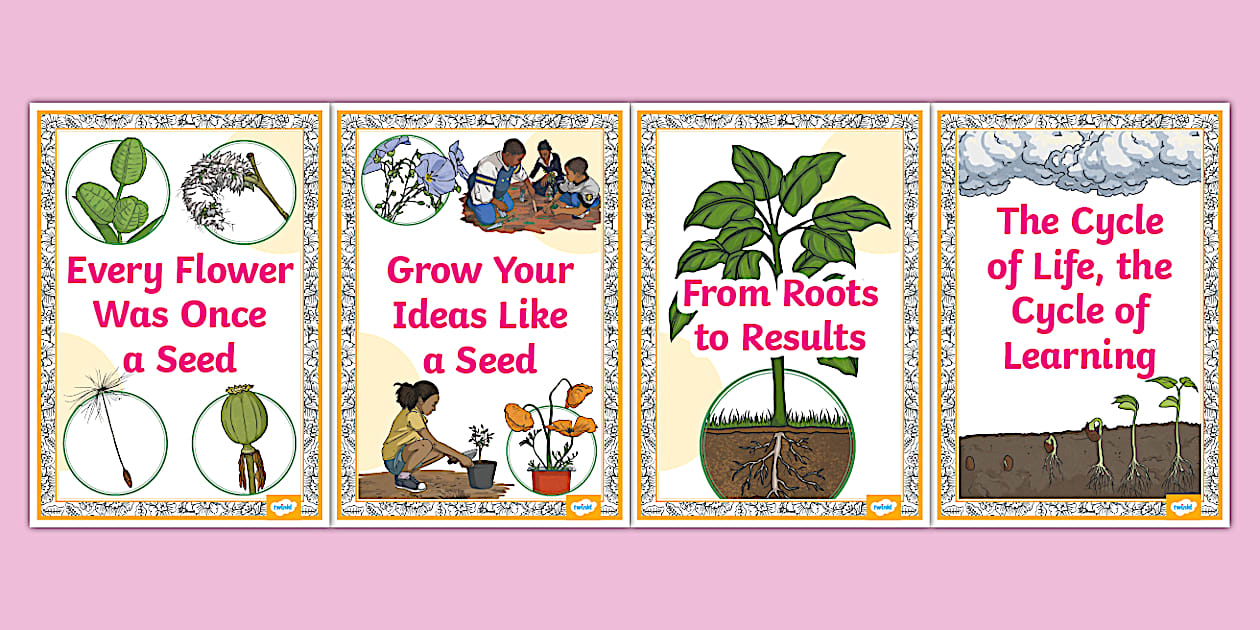 STEM Motivational Posters – Plant Lifecycle (teacher made)