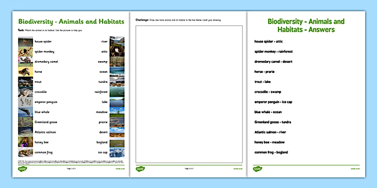 Biodiversity Habitat and Animal Matching Worksheets - Twinkl