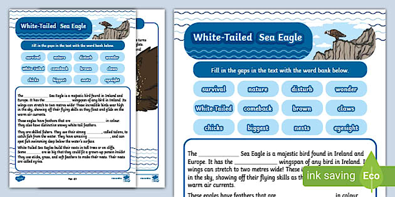 White-Tailed Sea Eagle (Cloze Procedure) (Teacher-Made)