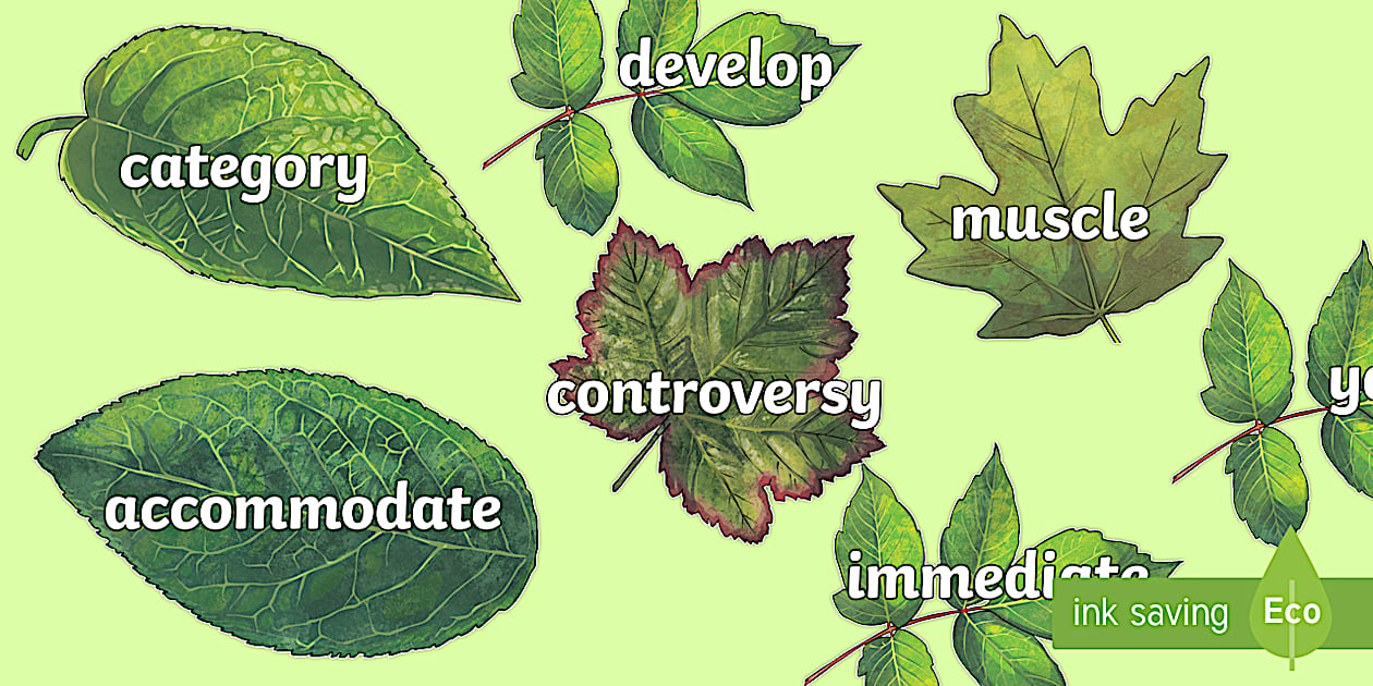 Years 3 to 6 Statutory Spellings on Leaves