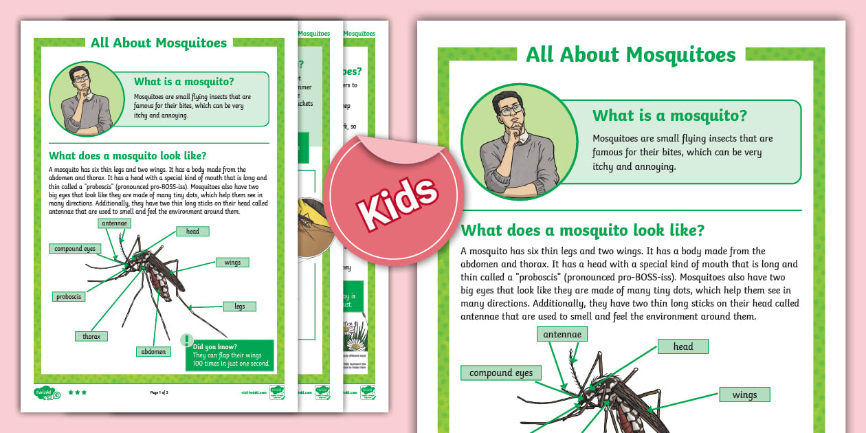 ESL All About Mosquitoes Differentiated Reading Comprehension [Kids]