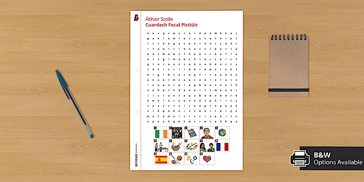 Ábhair Scoile Cuardach Focal Pictiúir (Teacher-Made)