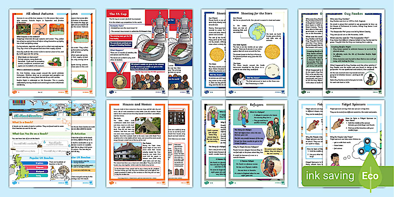 Editable KS1 Non Chronological Report Examples Resource Pack