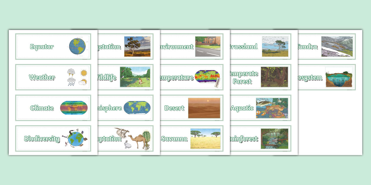 Biomes Vocabulary Word Cards (teacher made) - Twinkl