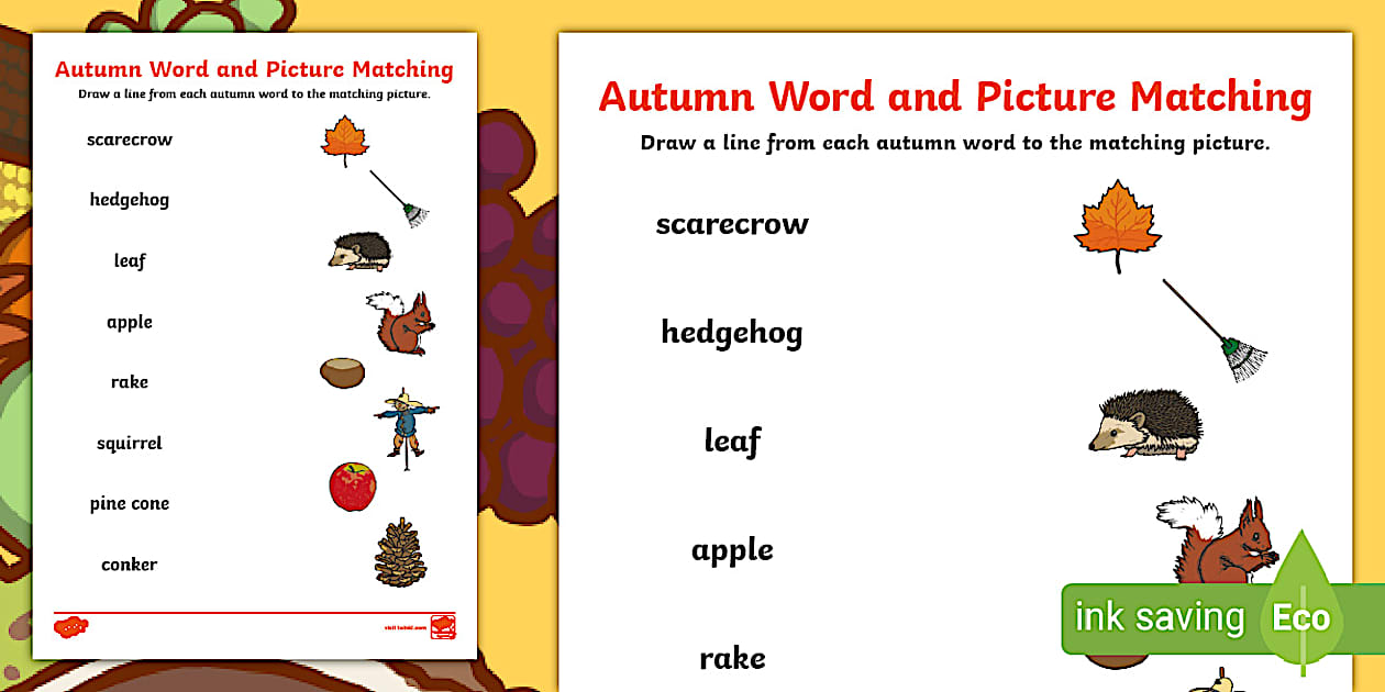 Autumn Word and Picture Matching Worksheet (teacher made)