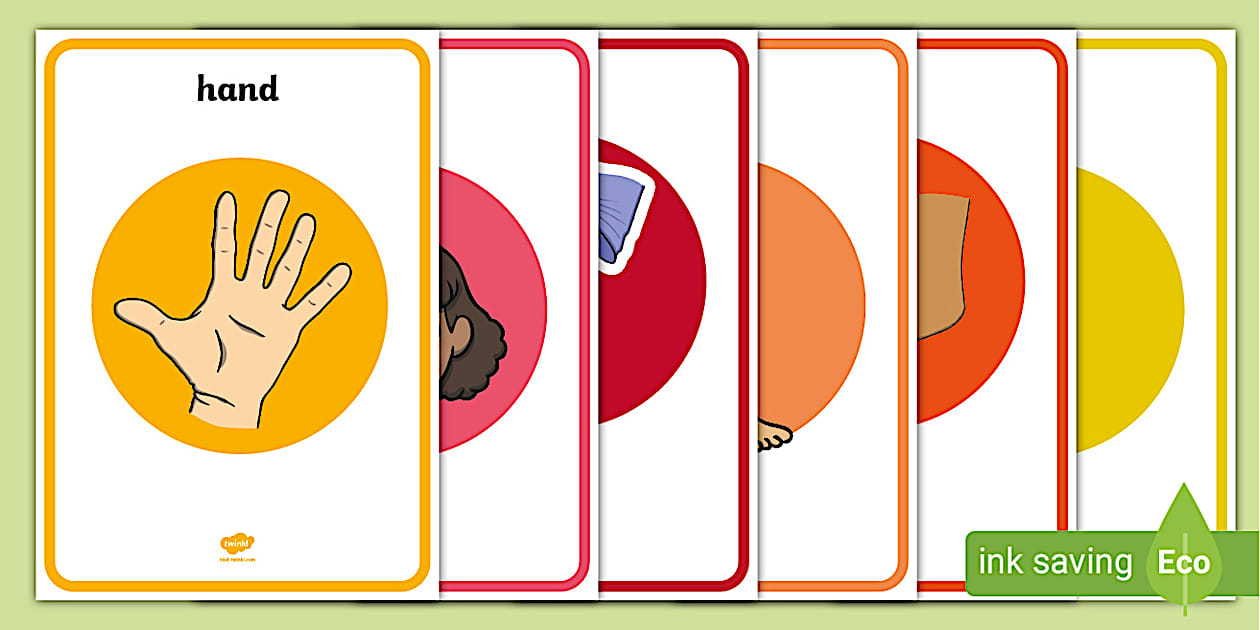 Fun With English " Year 1 Unit 2 Vocabulary Flashcards