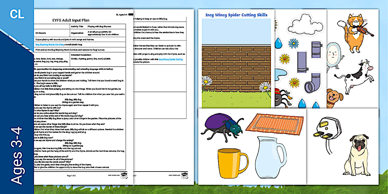EYFS Playing With Bug Rhymes Adult Input Plan (teacher made)