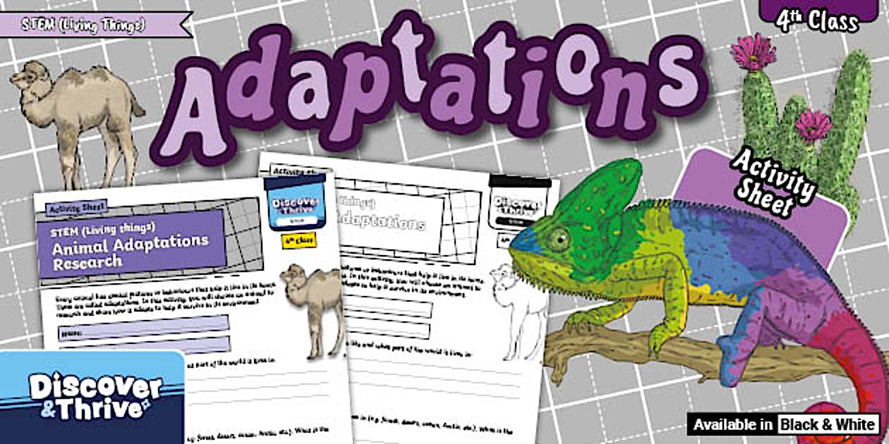 Adaptations research sheet 3rd class
