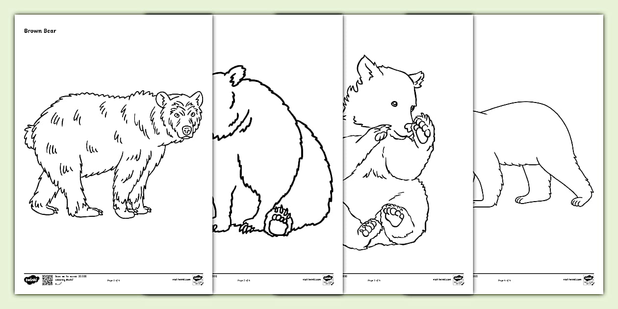 Bears Coloring Sheets (Teacher-Made) - Twinkl