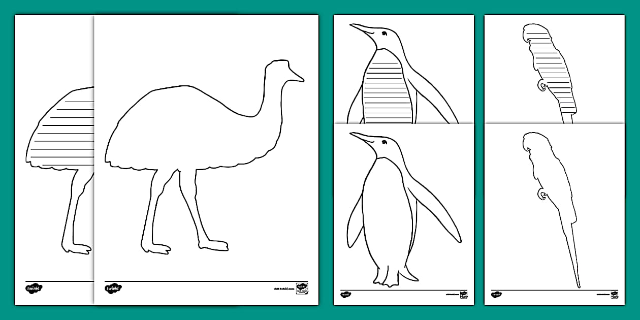 Bird Templates for Writing and Drawing Tasks | Twinkl USA