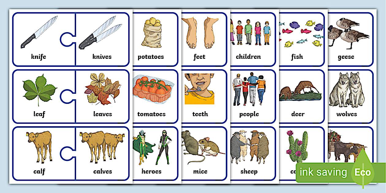 Irregular Plurals Jigsaw Activity (teacher made) - Twinkl