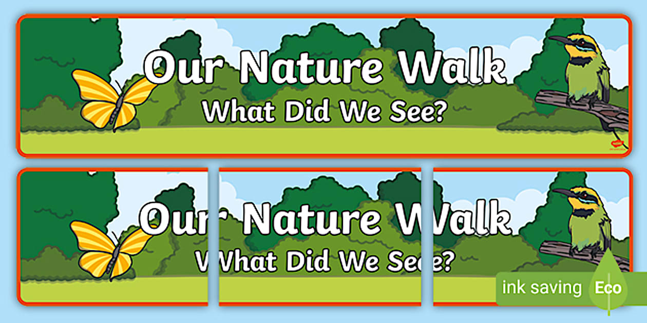 What We Discovered On Our Nature Walk Display Banner