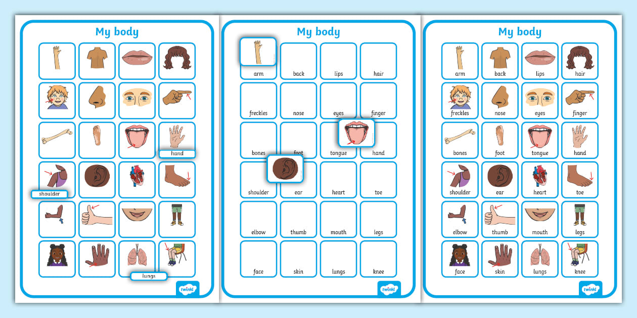 My Body Vocabulary Matching Mat (teacher made) - Twinkl