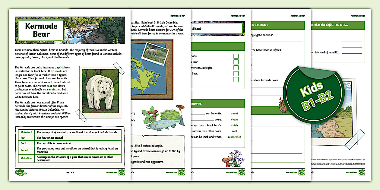 ESL Kermode Bear Fact File [Kids, B1-B2] (Teacher-Made)