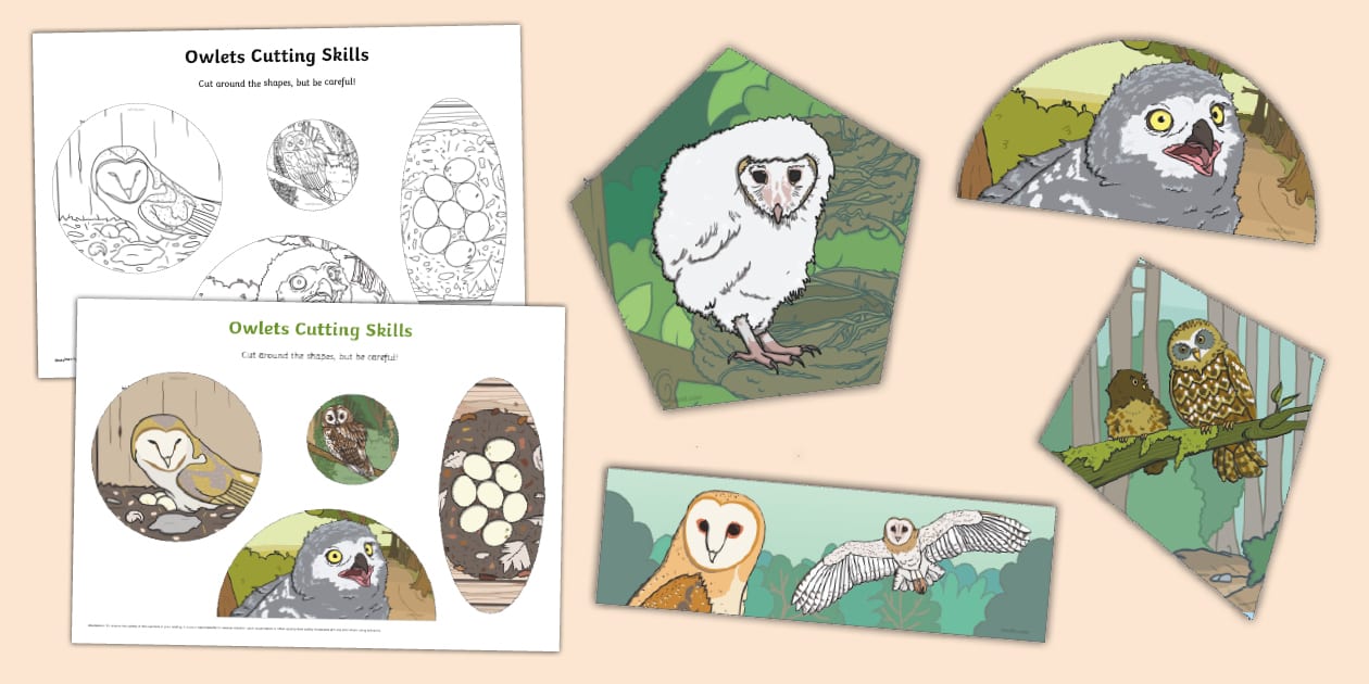 Owlets Cutting Skills Worksheets (teacher made) - Twinkl