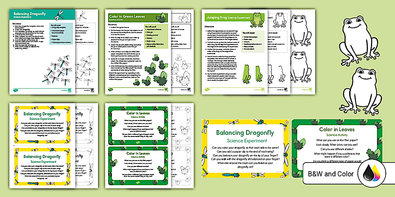 Jungle and Rainforest Science Experiments Pack - Twinkl
