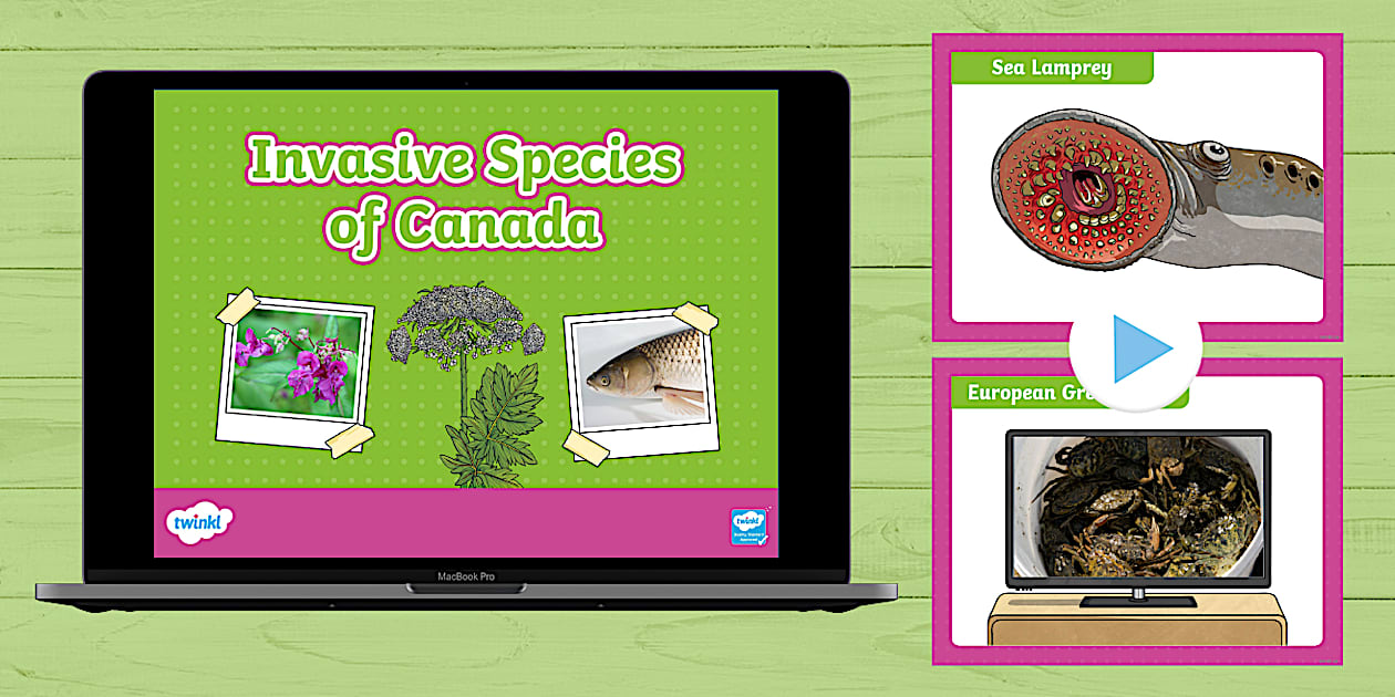 Invasive Species PowerPoint丨Ecosystems and Biodiversity