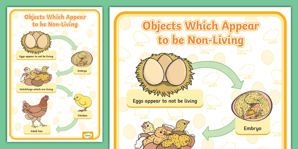 Objects Which Appear to be Non-Living - Poster - Twinkl