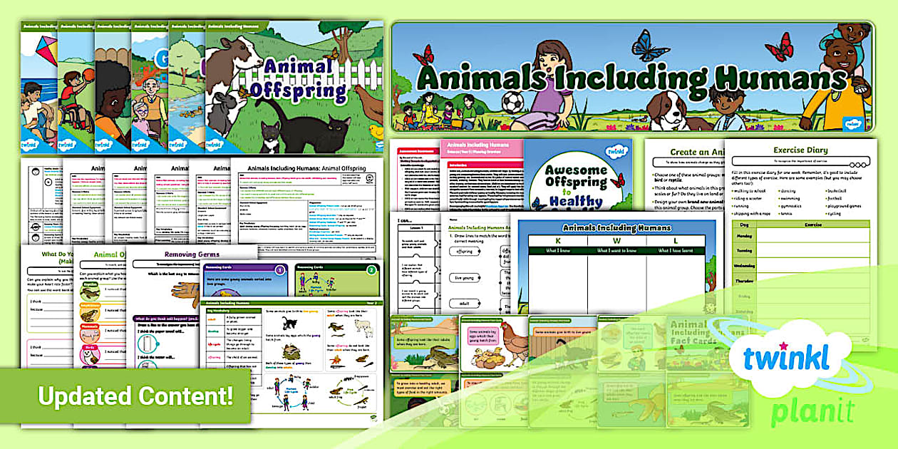 Science: Animals Including Humans Year 2 Unit Pack - Twinkl
