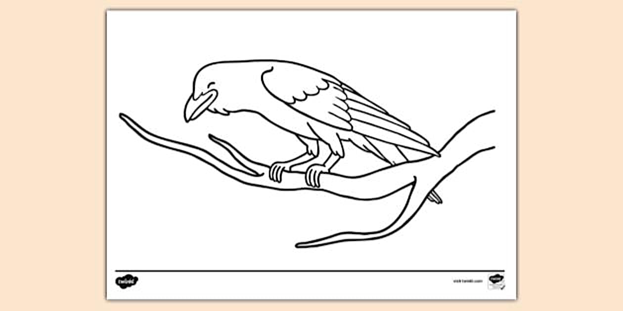 Crow Sitting On Branch Colouring Sheet | Colouring Sheets