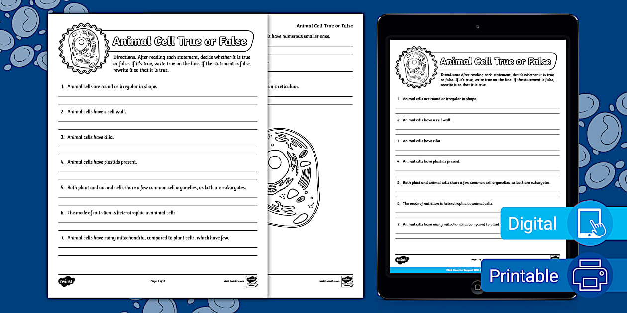Animal Cell True or False Quiz for 6th-8th Grade - Twinkl