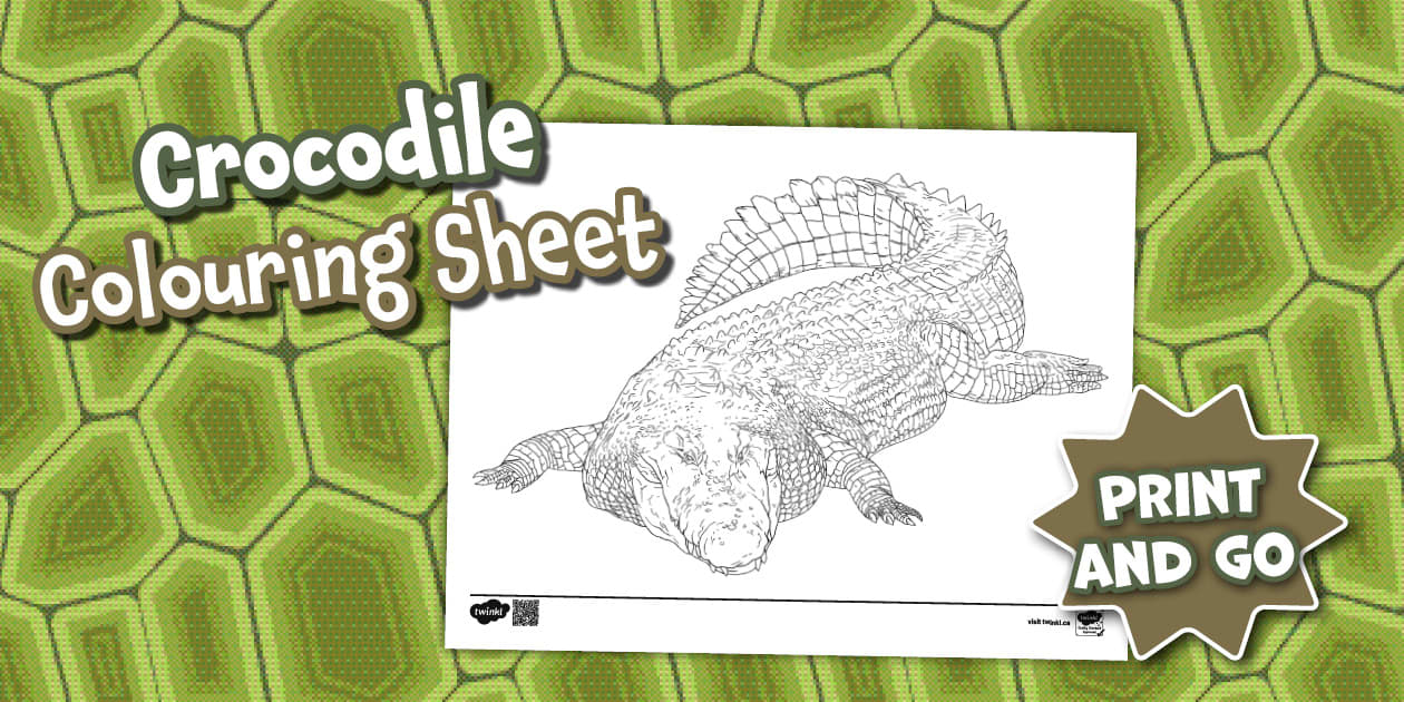 Crocodile Colouring Sheet