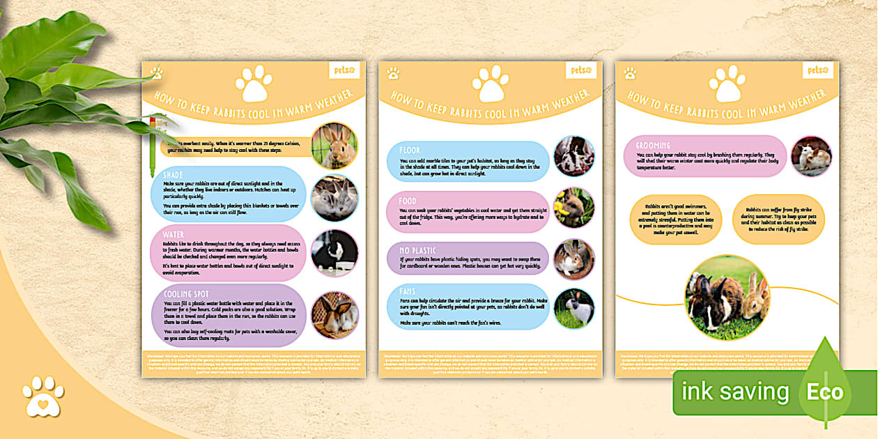How to Keep Rabbits Cool - Information Sheet - Summer - Pets