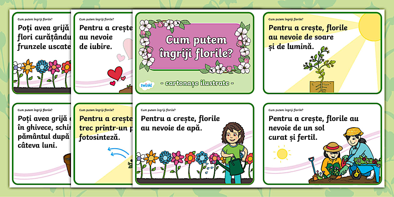 Cum putem îngriji florile? – Cartonașe ilustrate