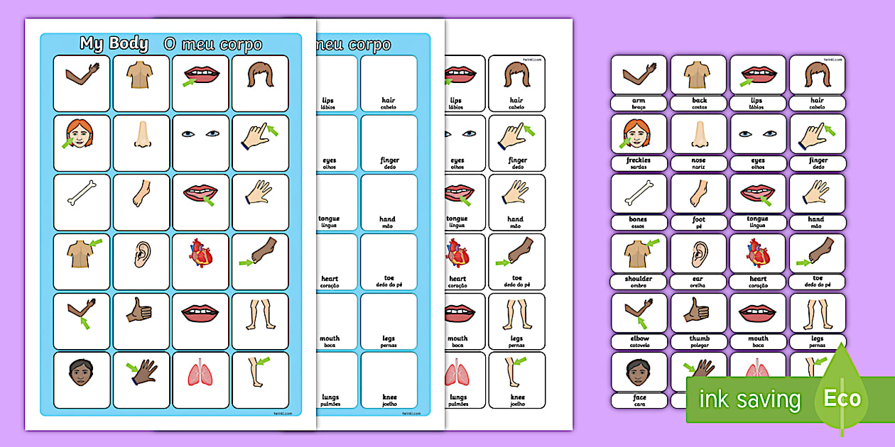My Body Vocabulary Matching Mat English/Portuguese - Twinkl