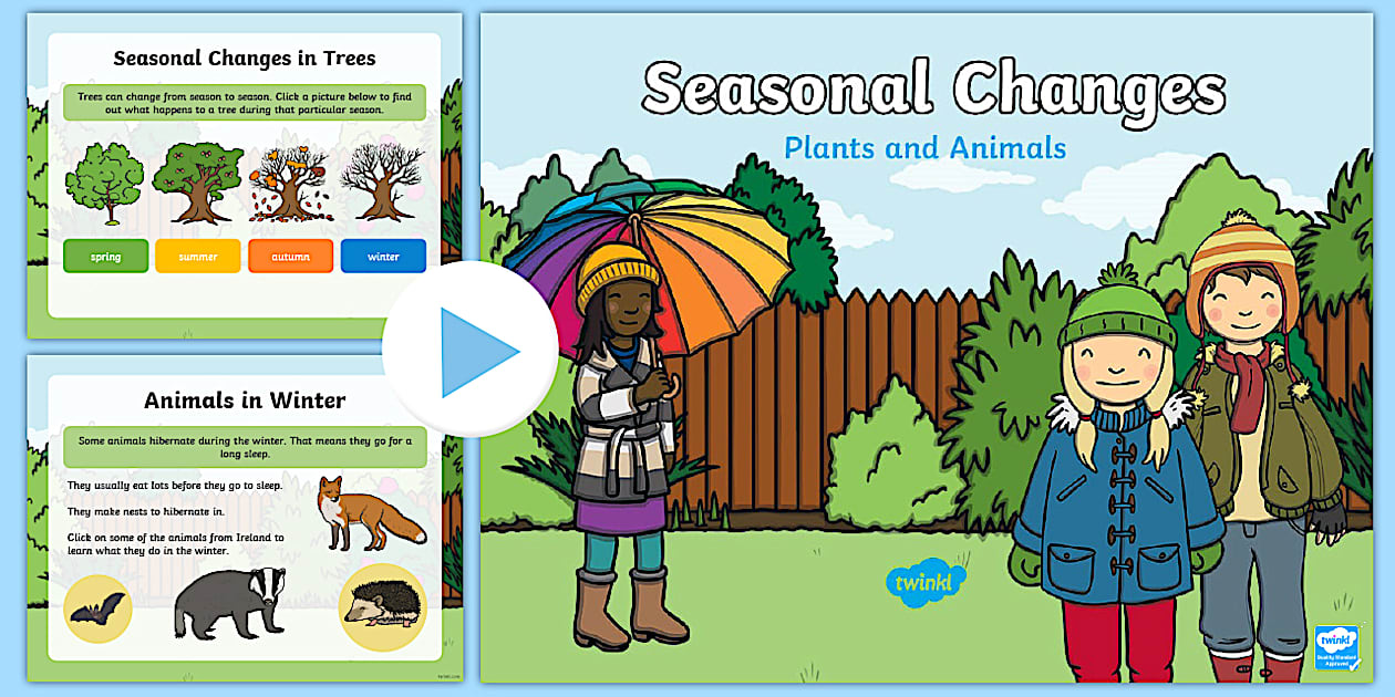 Seasonal Changes in Plants and Animals PowerPoint - Twinkl