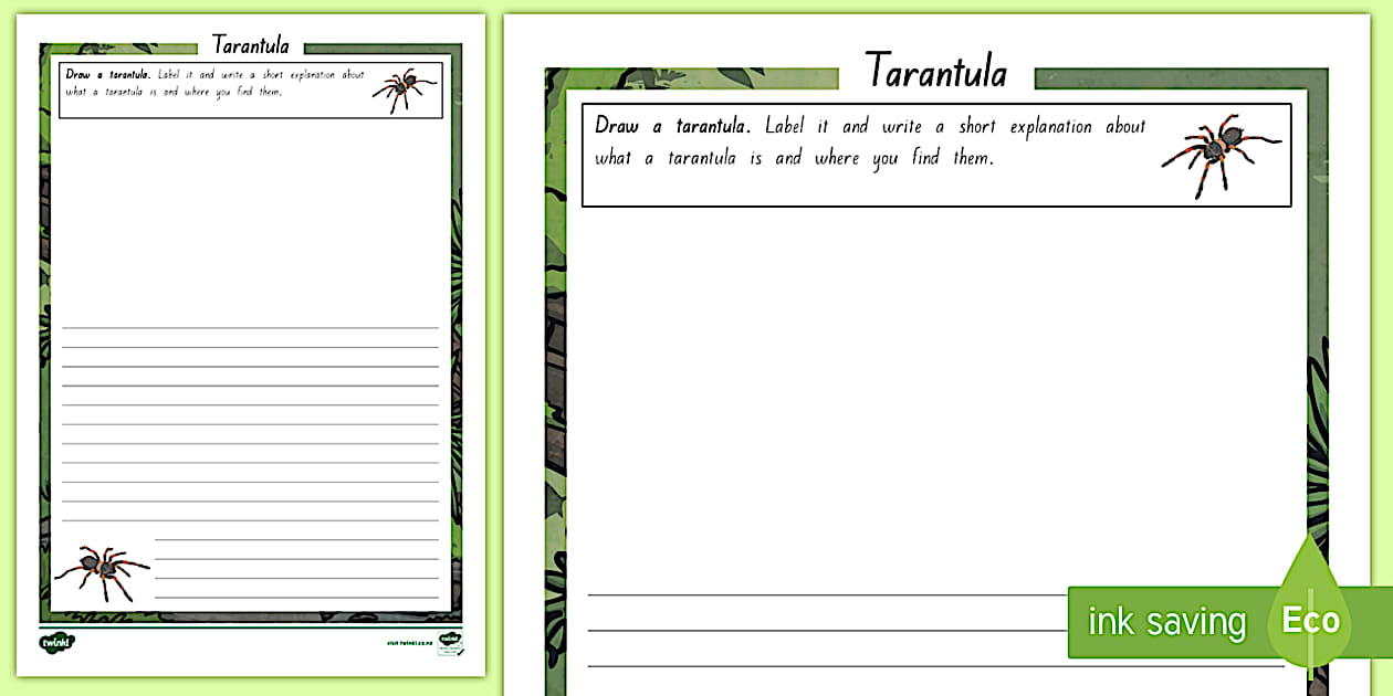 Term 2 Week 7 Year 5 and 6 Chapter Chat Tarantula Worksheet to Support