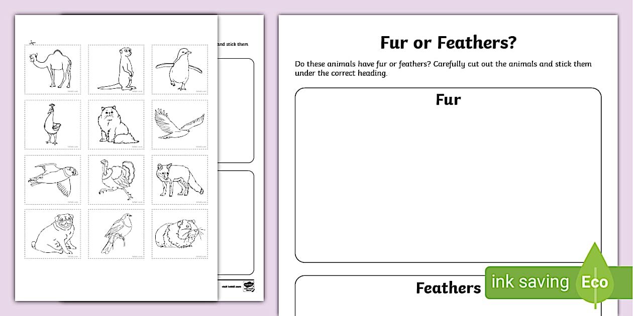 Fur or Feathers Animal Matching Activity (teacher made)