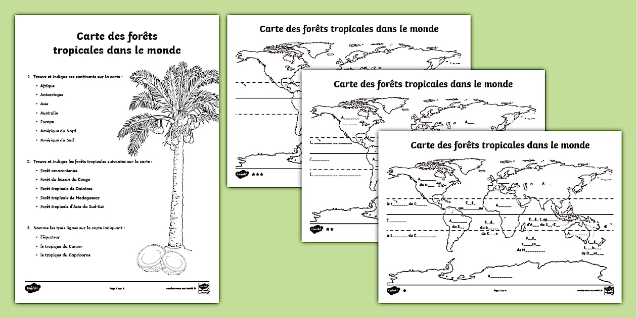 Fiche d'activité sur les forêts tropicales (Teacher-Made)