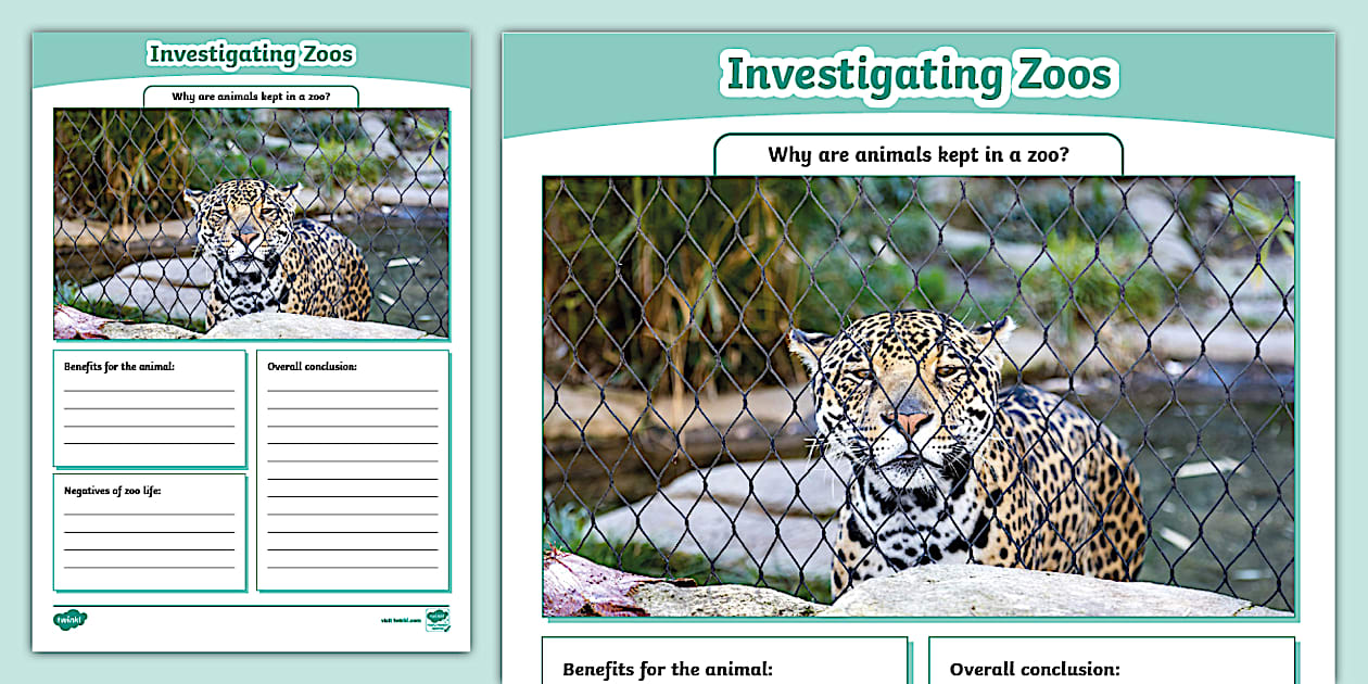 Zoo Investigation Worksheet (teacher made) - Twinkl