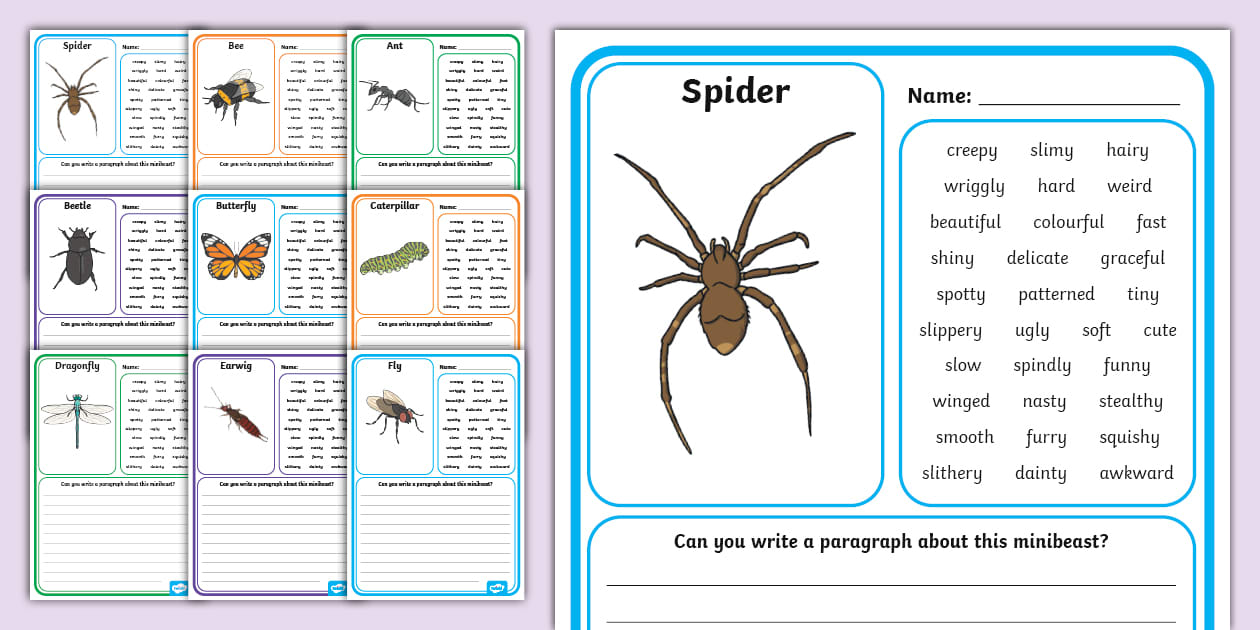 Minibeasts Description Writing Frames (teacher made)