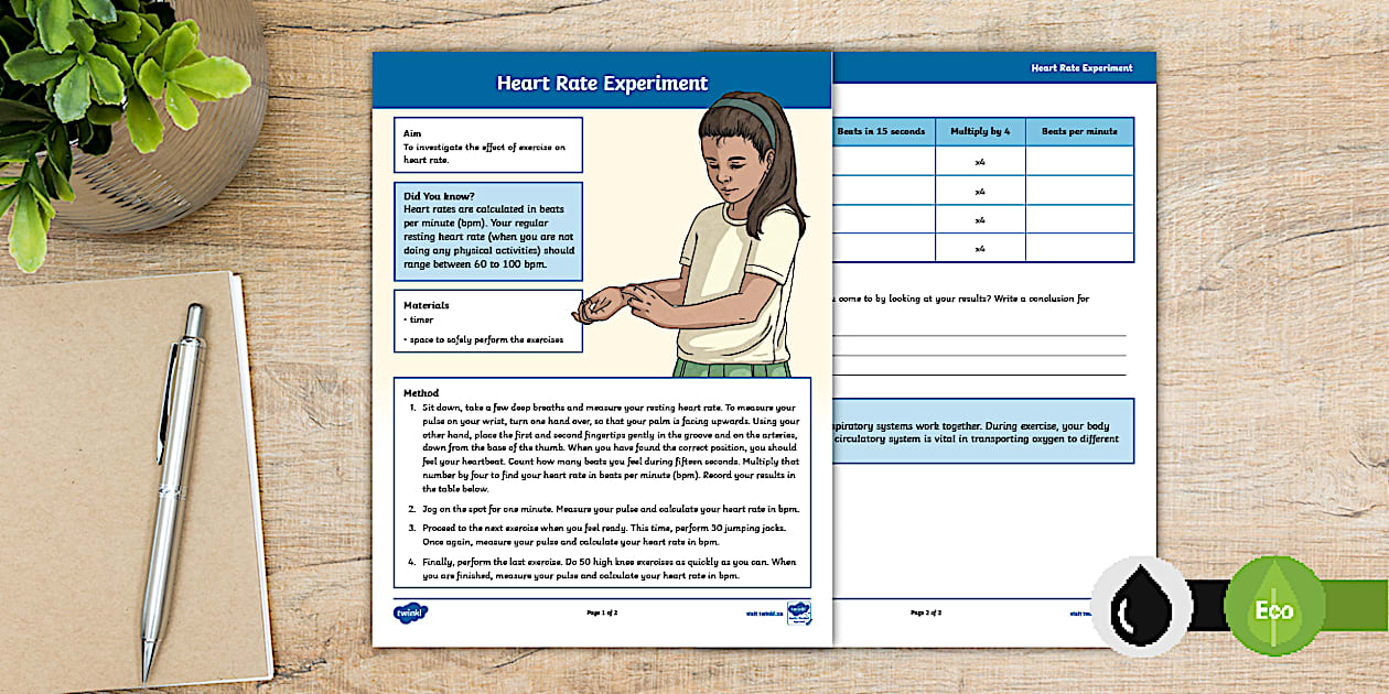 Human Body: Heart Rate Experiment (teacher made) - Twinkl