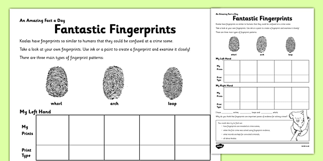 Fingerprint Activity | Science Resource | Twinkl USA