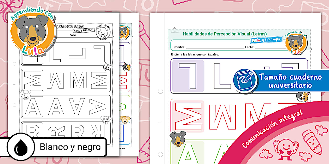 Guía de Trabajo | Percepción Visual | Identificación | Lula