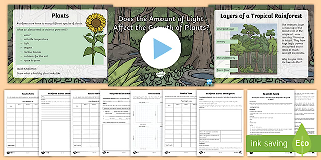 Rainforest Science Investigation Activity Pack - Twinkl