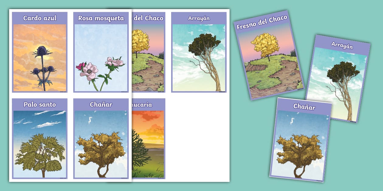 Tarjetas: flora de Argentina (Parte 2) (professor feito)