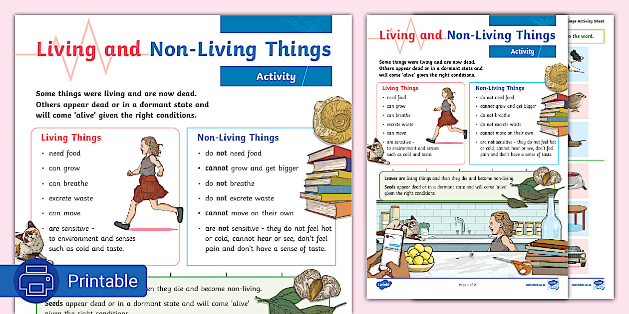 Living and Non-Living Things: Activity Sheet - Twinkl