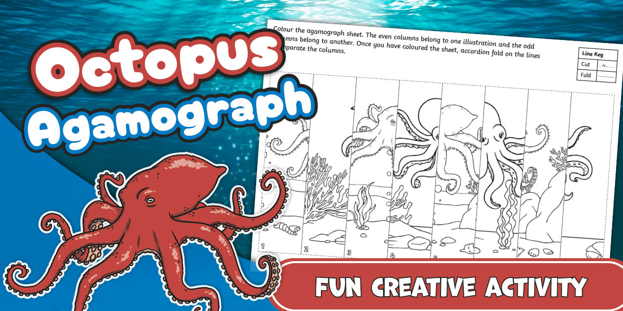 Octopus Agamograph - Twinkl Australia
