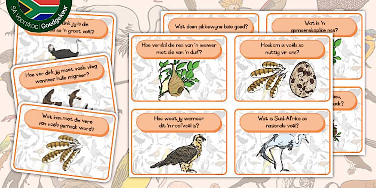 Voëls: Oop- en Geslote Vraekaartjies (teacher made)