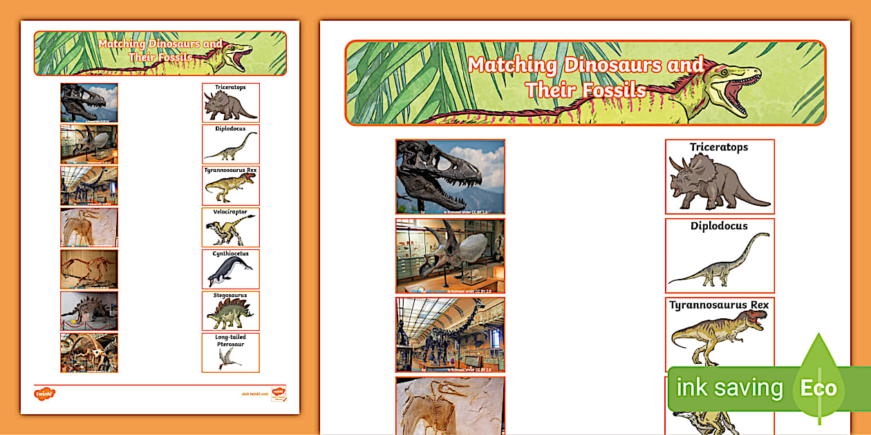 Matching Dinosaurs and Their Fossils Australia Worksheet